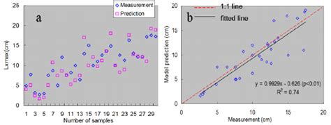 Figure10 Model Model Performance Performance A A Measurement Download Scientific