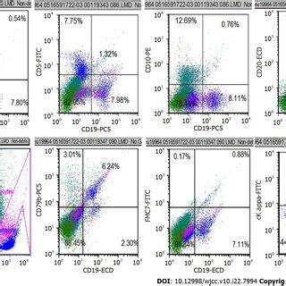 Flow Cytometry Shows Monotypic Kappa Light Chain Restricted B Cells Download Scientific Diagram