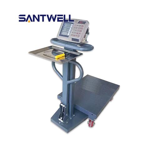 Ts LED LCD Display Platform Scale Industrial Digital Electronic Weighing Scale China