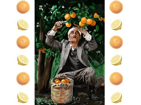 Fruit Citrus Watercolor On Behance