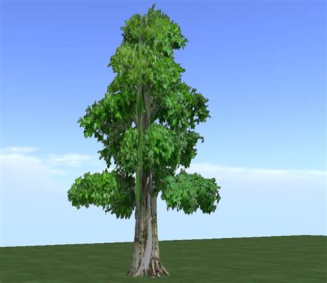 Second Life Marketplace Ginko Tree 15m Rp