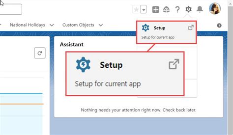 Salesforce Value Function