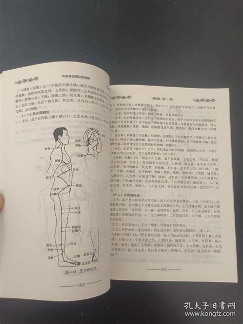 【图】中医基础理论图表解 第2版拍品信息网上拍卖拍卖图片拍卖网拍卖网站