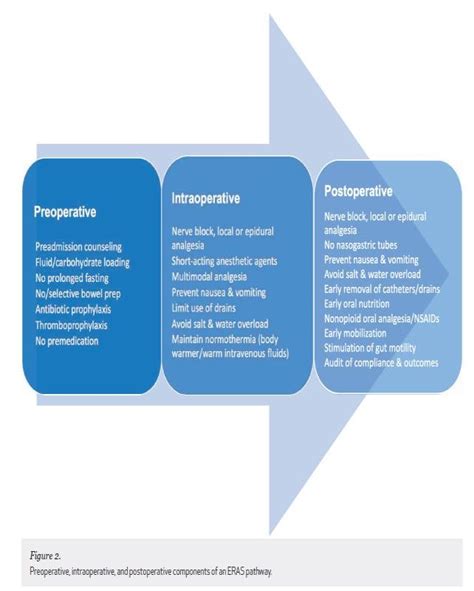 Figure2 Details Of Eras Protocol Brown Jk Et Al 2018 The Pars Of