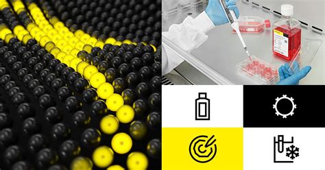 Sartorius Stedim Biotech On Linkedin Bioprocessing Stemcells