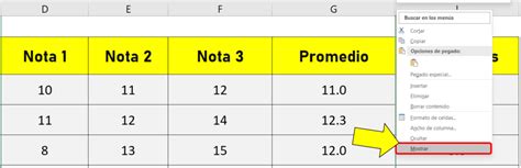 Como Ocultar Columnas Y Filas En Excel