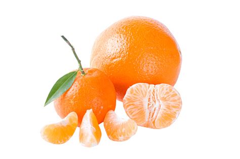 신선한 Mandarines 흰색 배경에 고립입니다 오렌지는 행에 정렬 됩니다 흰색 바탕에 배치 0명에 대한 스톡 사진 및 기타