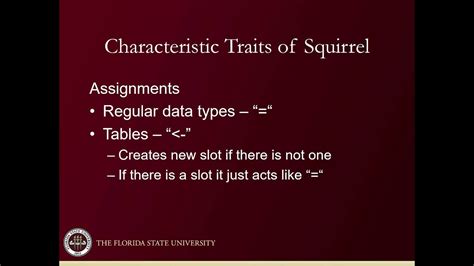 Cop4020 The Squirrel Programming Language Youtube