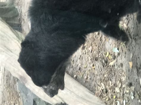 Create A Power Level Tier List TierMaker