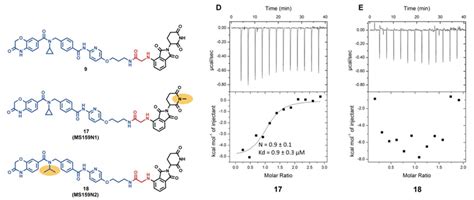 金坚团队王刚团队合作报道首例靶向nsd2的protac分子 X Mol资讯