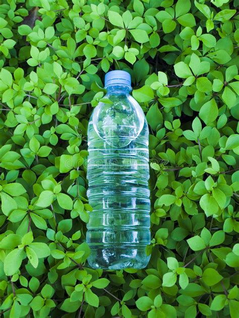 Water Bottle Object Detection Dataset By Can