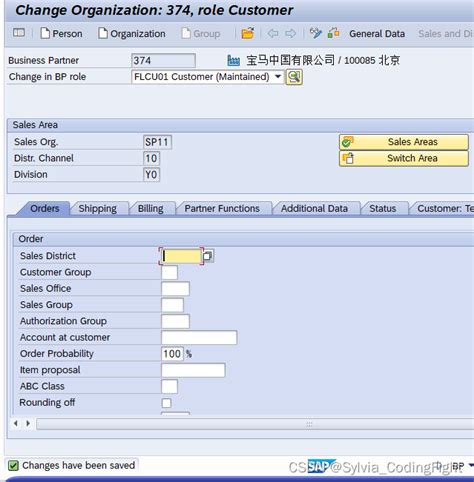Sap Fico Bp Abap Bp Csdn