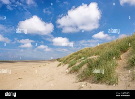 Dune Landscape On The North Sea Coast In De Panne De Panne Flanders Belgium Stock Photo Alamy