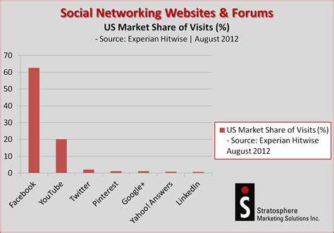 THE TOP SOCIAL MEDIA NETWORKS THE NAKED TRUTH