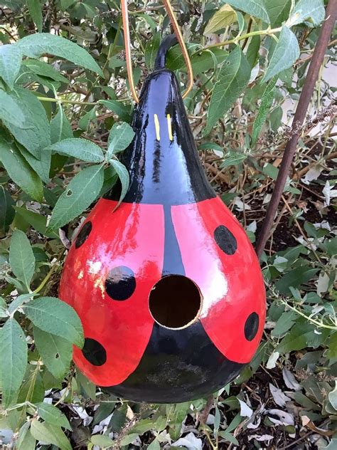 Hand Painted Gourd Birdhouse Lady Bug Etsy Gourds Birdhouse Hand