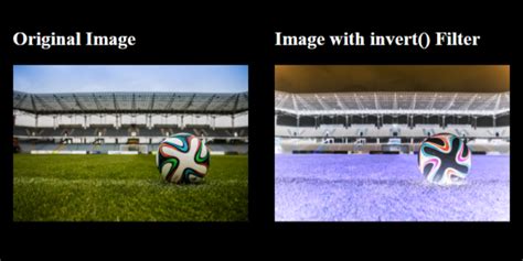 Enhancing Images With CSS Filters Blogs Perficient