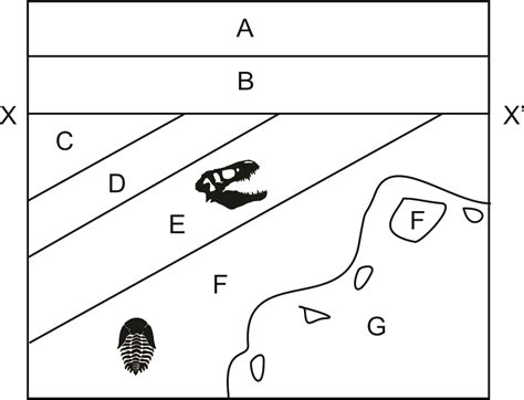 Solved By An Expert Based On The Schematic Stratigraphic Cross Section