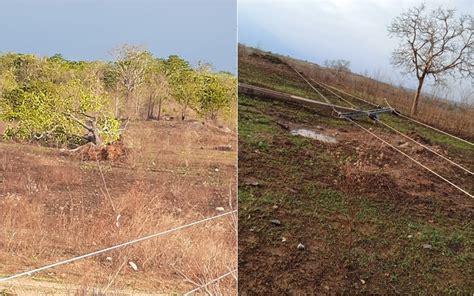 Chuva E Ventania Provocam Queda De árvores E Deixam 4 Mil Sem Energia