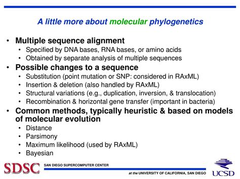 ppt hybrid mpi pthreads parallelization of the raxml phylogenetics