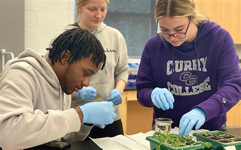 Environmental Scientist Lab