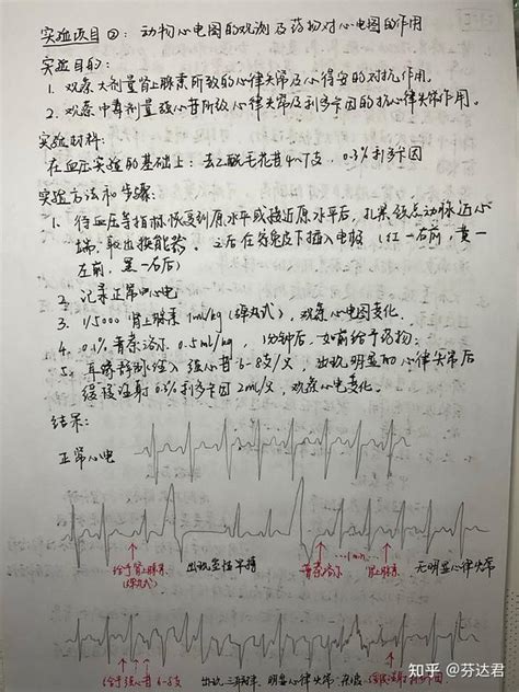 机能学实验报告 知乎