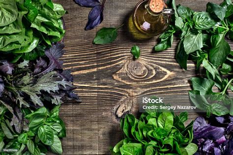 나무 배경에 신선한 유기농 허브의 다양 한입니다 갓 바 질 등 허브를 수확 Arugula 최고의 볼 수 있습니다 공간 복사 건강한 생활방식에 대한 스톡 사진 및 기타 이미지