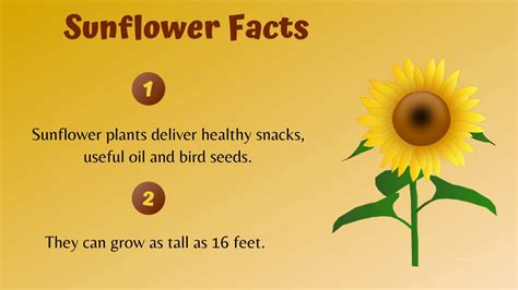 Facts About Plants Informacionpublica Svet Gob Gt