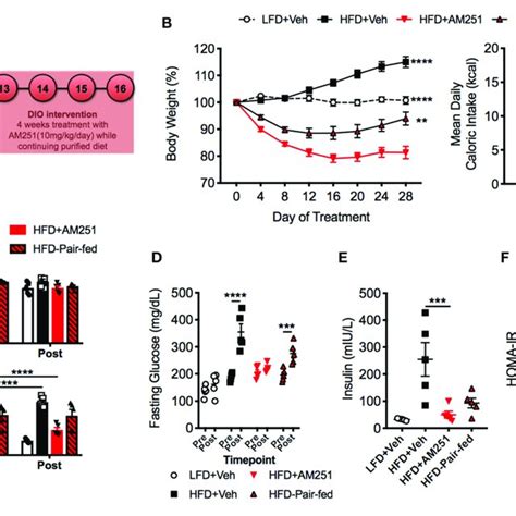 treatment of mice with the cb1 antagonist am251 reverses obesity