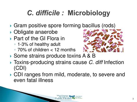 Ppt Clostridium Difficile Infection Powerpoint Presentation Free Download Id 810809
