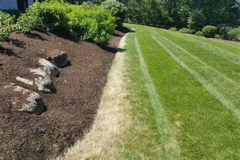 What Does Mulch Smell Like Up Gardening