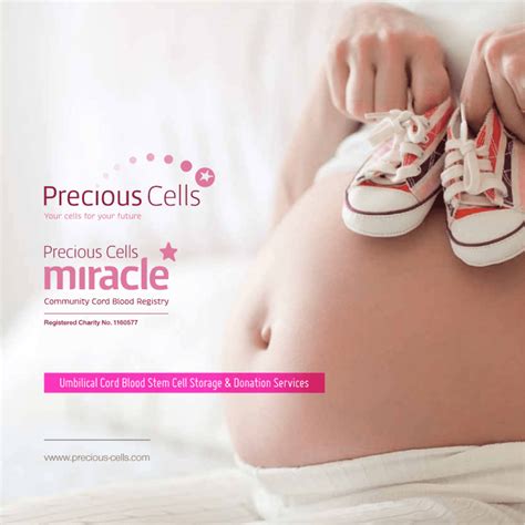Umbilical Cord Blood Stem Cell Storage And Donation