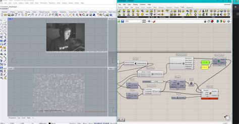 Firefly Grasshopper Visual Arts
