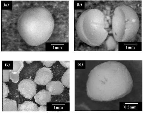 Optical Micrographs Of The Outside A And C And Inside B And
