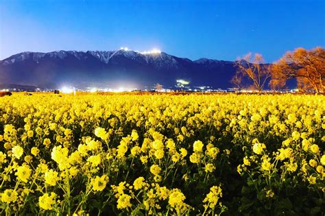 昨日は山には登れ無かったけど山の写真を撮 Never Stop Exploreさんのモーメント Yamap ヤマップ
