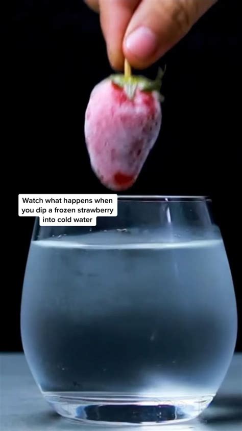Frozen Strawberry Experiment Quick Recipes Snacks Food Hacks Easy
