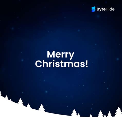 Bytehide On Linkedin Merrychristmas Cybersecurity Digitaltrust Christmas Digitalsecurity
