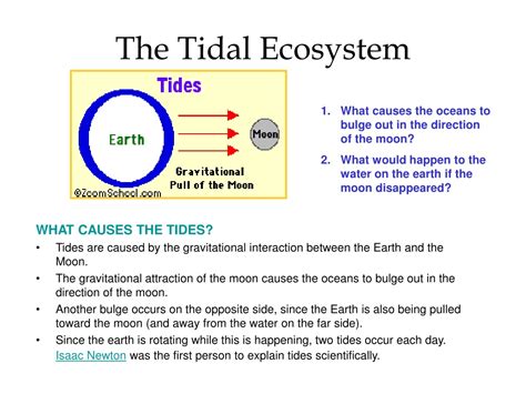 Ppt Unveiling The Enigma Of Tides From Newtons Insight To Coastal Wonders Powerpoint