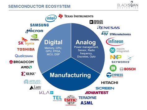 Semiconductor Ecosystem Black Swan Dexteritas
