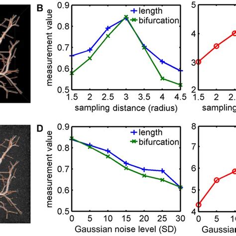validation of the branch detection on tree like structure data a the