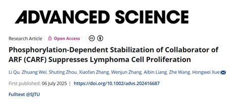 上海交大薛红卫教授团队揭示靶向磷酸化修饰的carf作为精准治疗淋巴瘤的新策略 交大智慧 上海交通大学新闻学术网