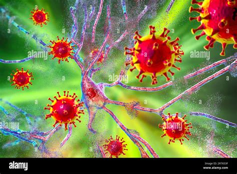 Viruses Infecting Neurons Neuronal Destruction Conceptual Computer