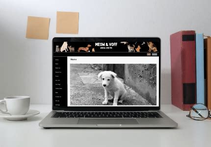 acsnevesgit Cláudia GitHub