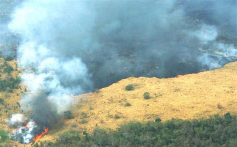 Incendio En Argentina Sigue Descontrolado Y Arrasa 10 Mil Hectáreas
