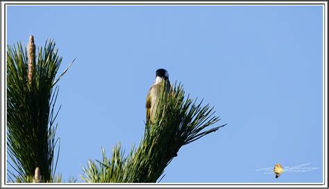 니기 왜 거기서 나와