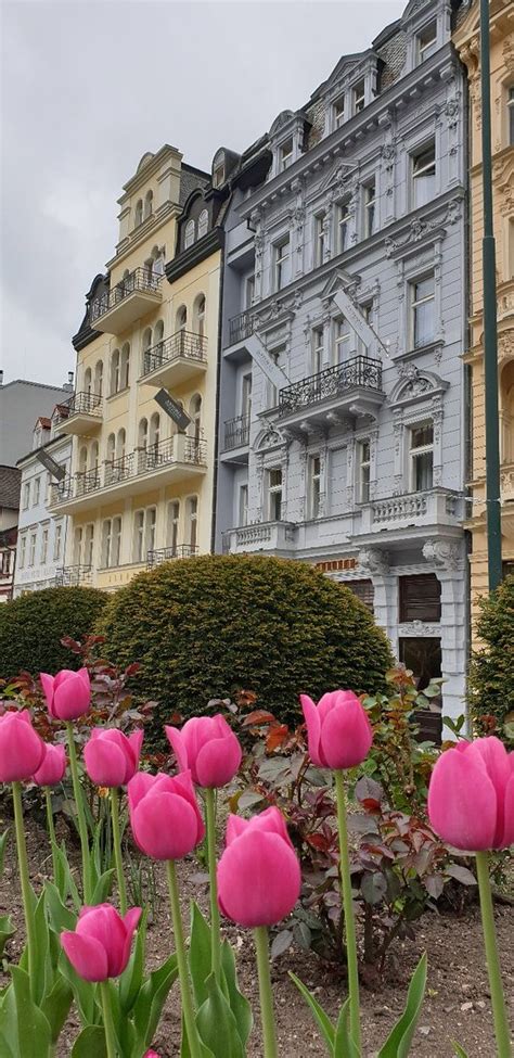 Karlovy Vary Day Tour Praga ATUALIZADO 2019 O Que Saber Antes De Ir