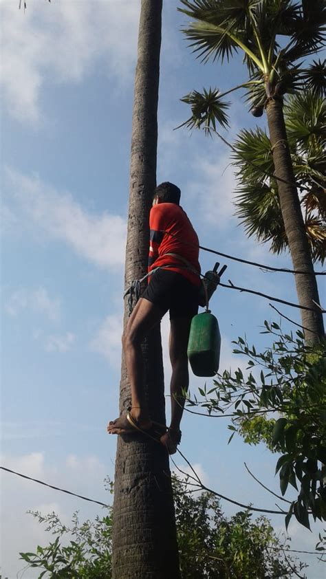 දවසට දහ දොළොස් වතාවක් ජීවිතය පරදුවට තබන්නෝ