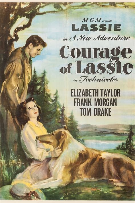 Courage Of Lassie 1946 Posters — The Movie Database Tmdb