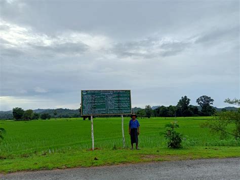 ရှမ်းရွာသစ်မြို့တွင် ရေကြီးနစ်မြုပ်မှုကြောင့် ပျက်စီးသွားသော လယ်ယာမြေများ ပြန်လည်စိုက်ပျိုးရာတွင