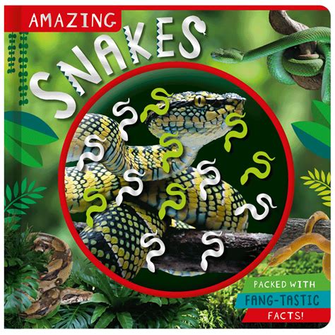 Amazing Snakes Make Believe Ideas Uk