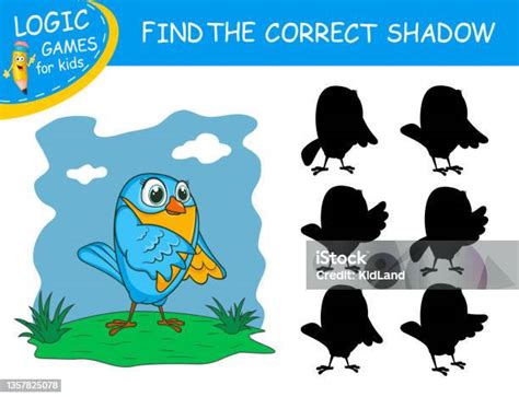 새의 올바른 그림자를 찾습니다 화려한 배경에 귀여운 만화 앵무새 재미있는 캐릭터와 교육 매칭 게임 아이들을위한 논리 게임 어린이 유치원 또는 학교에 대한 학습 카드 0명에